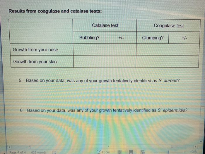 Solved Results from coagulase and catalase tests: Catalase | Chegg.com