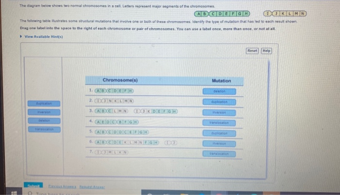 Solved The diagram below shows two normal chromosomes in a | Chegg.com