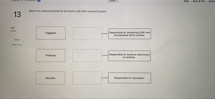 Solved Help Save & EX Subm Match the following bacterial | Chegg.com