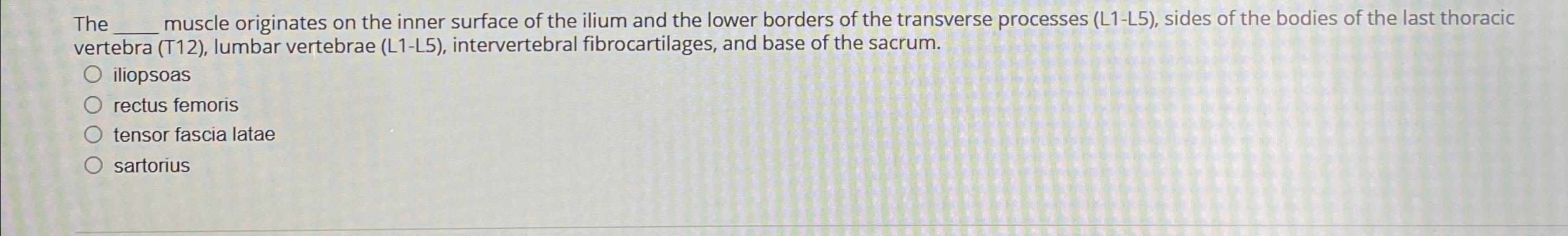 Solved The q, ﻿muscle originates on the inner surface of the | Chegg.com