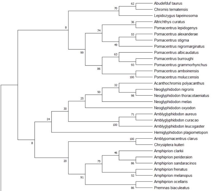 Solved Provide analysis on the Maximum Parsimony Tree of | Chegg.com