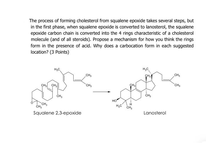 Solved The process of forming cholesterol from squalene | Chegg.com