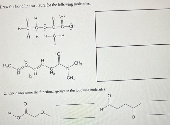 Solved Draw the bond line structure for the following | Chegg.com