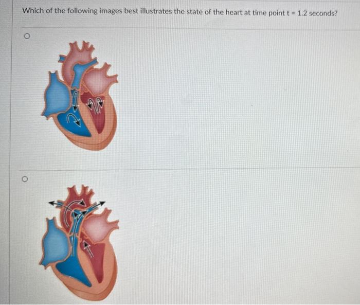 Solved Which of the following images best illustrates the | Chegg.com