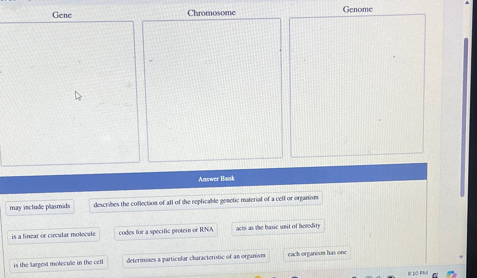 Solved ChromosomeGenomeAnswer Bankmay include | Chegg.com