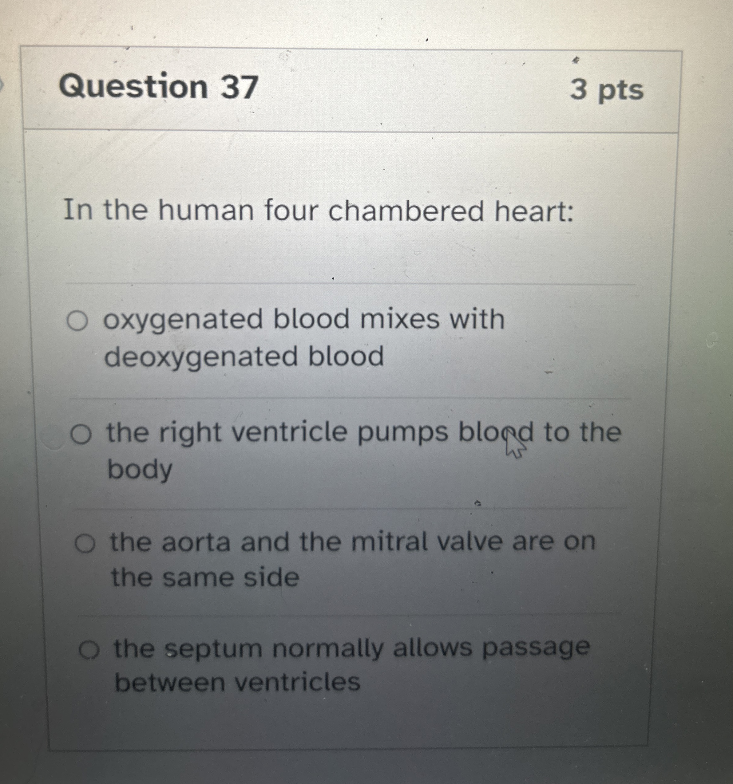 Solved Question 373 ﻿ptsIn the human four chambered | Chegg.com