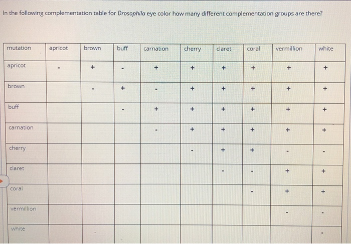 Solved In the following complementation table for Drosophila | Chegg.com