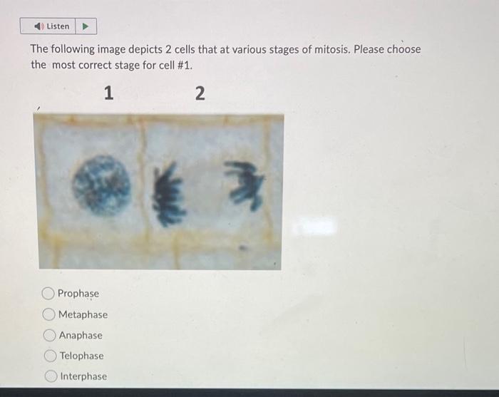 Solved The following image depicts 2 cells that at various | Chegg.com