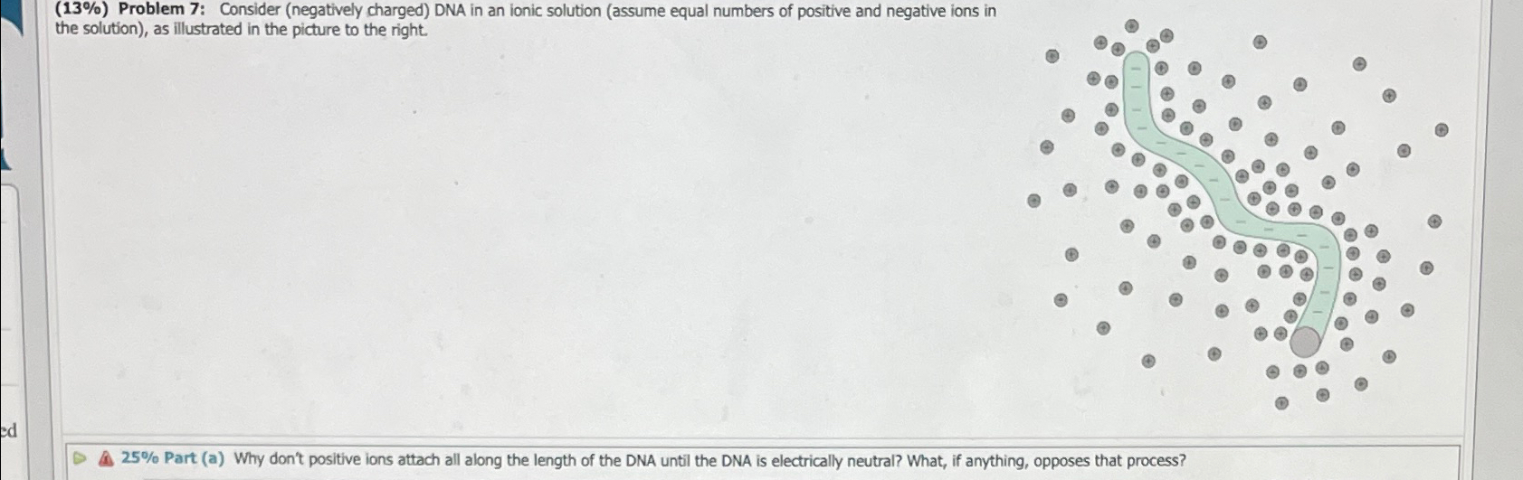 Solved (13%) ﻿Problem 7: Consider (negatively charged) ﻿DNA | Chegg.com