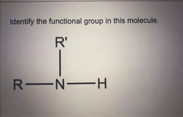 Solved Identify the functional group in this molecule. R' R- | Chegg.com
