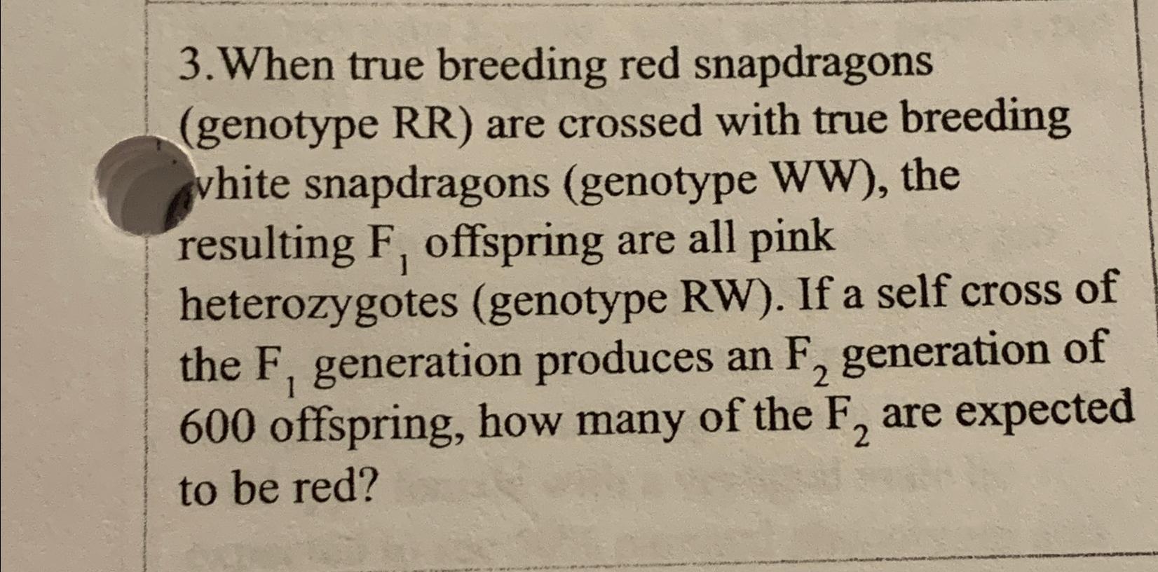 Solved 3.When true breeding red snapdragons (genotype RR) | Chegg.com