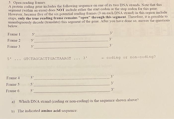 Solved 5. Open reading frames A protein coding gene includes | Chegg.com