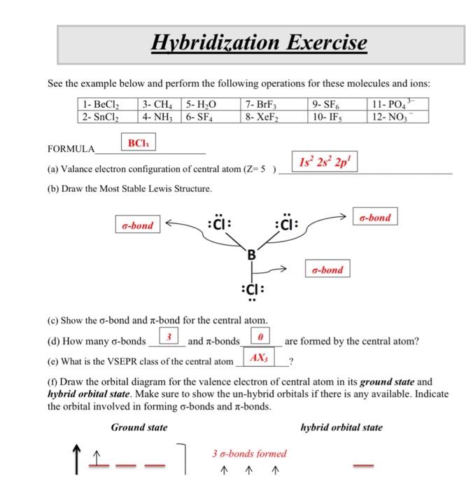 Solved Hybridization Exercise See the example below and | Chegg.com