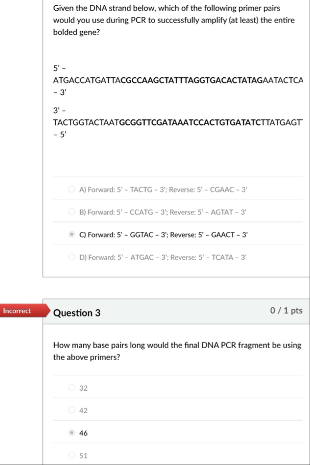 Solved Given the DNA strand below, which of the following | Chegg.com