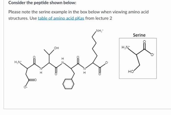 Solved Consider the peptide shown below: Please note the | Chegg.com