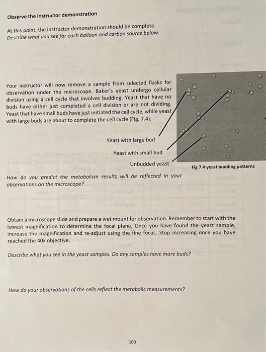 LABORATORY EXERCISE 8 Carbon Metabolism by Yeast | Chegg.com