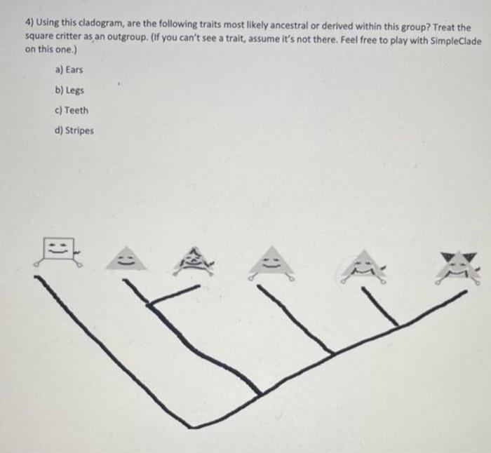 4) Using this cladogram, are the following traits | Chegg.com