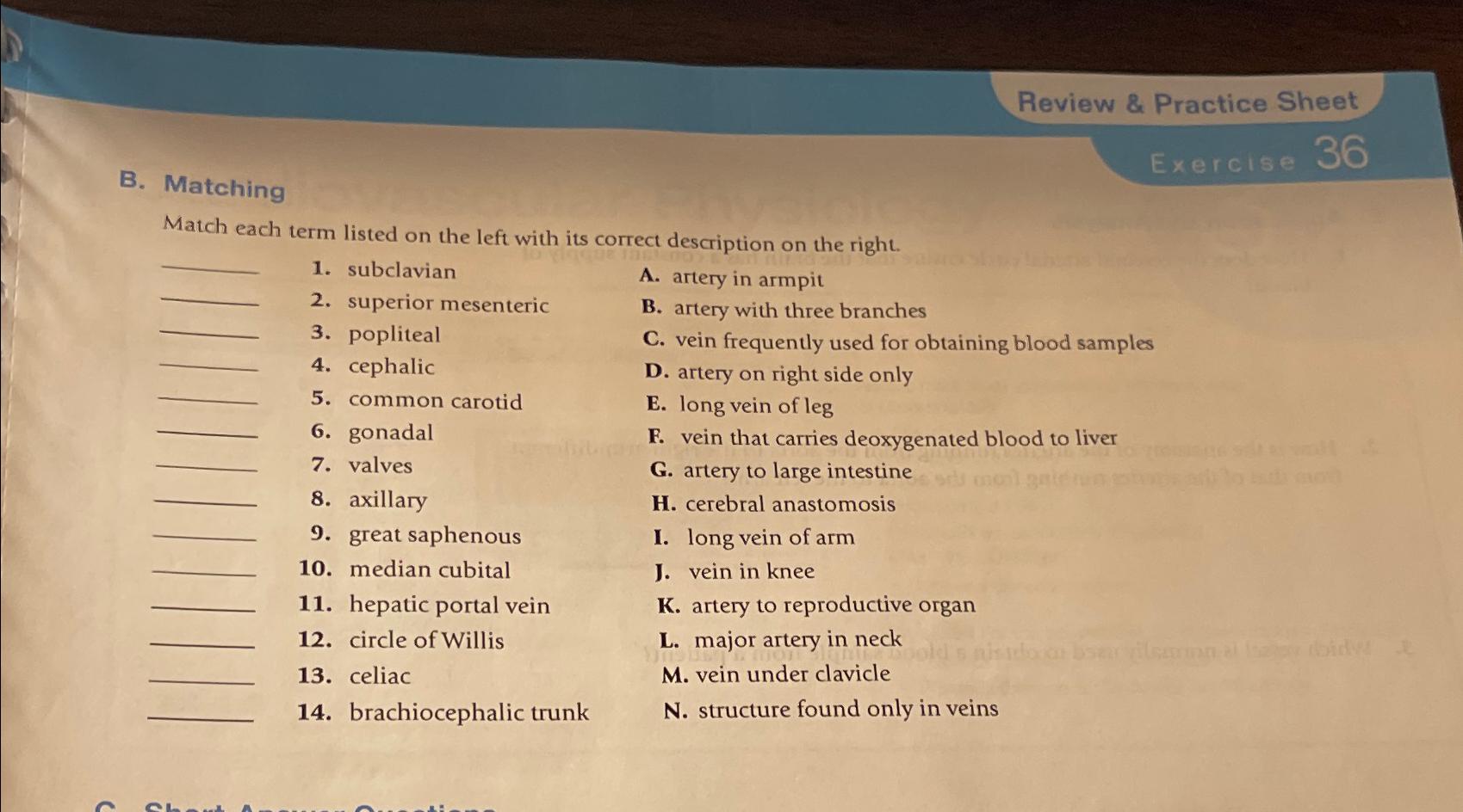 Solved Review & Practice SheetB. ﻿MatchingMatch each term | Chegg.com