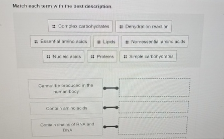 Solved Match each term with the best | Chegg.com