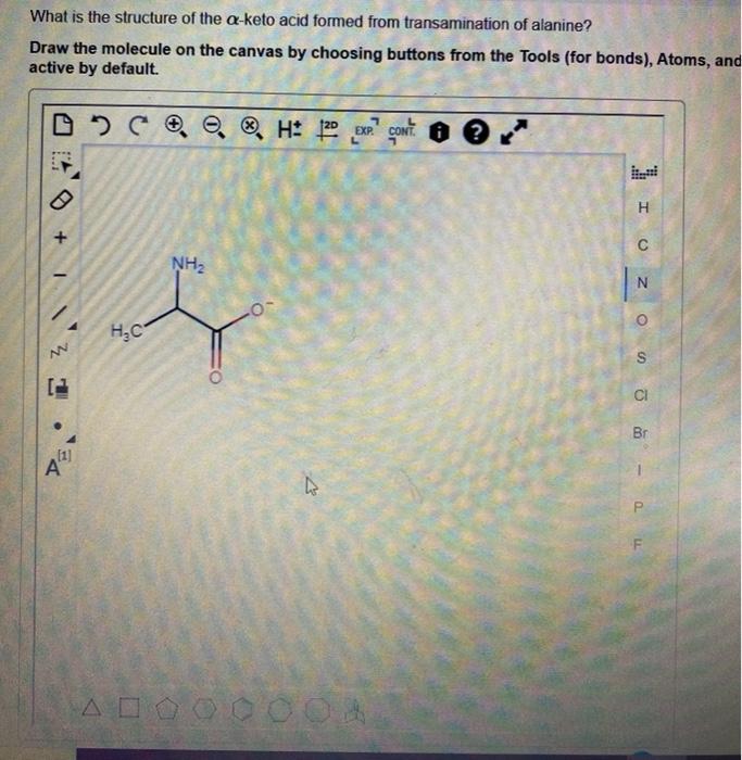 Solved What is the structure of the a-keto acid formed from | Chegg.com