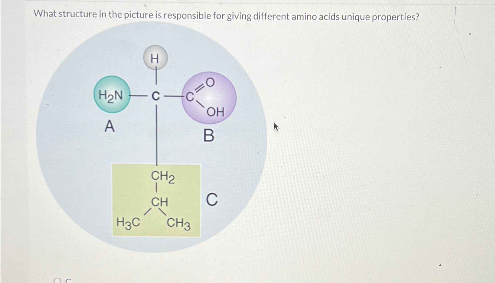 Solved What structure in the picture is responsible for | Chegg.com