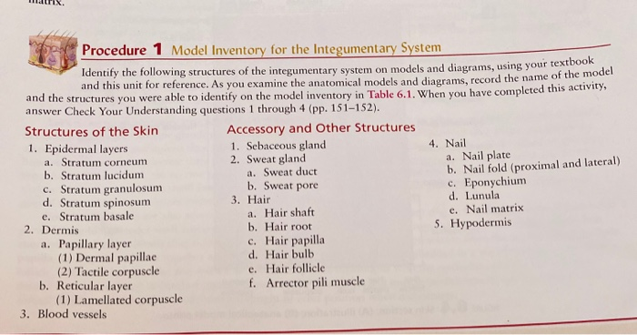 Procedure 1 Model Inventory for the Integumentary | Chegg.com