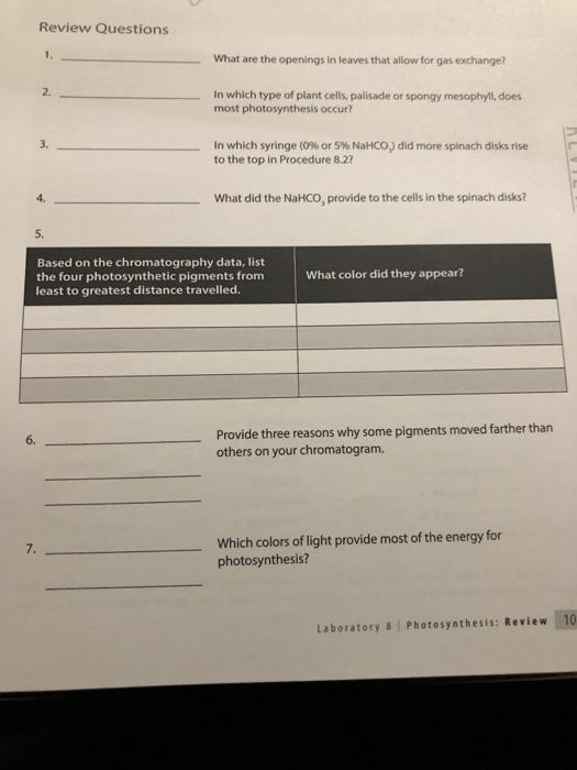 solved-review-questions-1-what-are-the-openings-in-leaves-chegg
