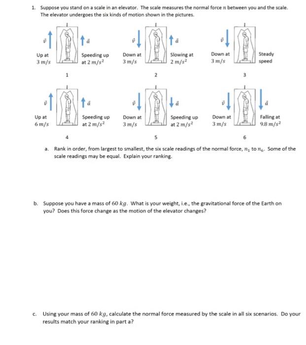 Solved 1. Suppose you stand on a scale in an elevator. The | Chegg.com