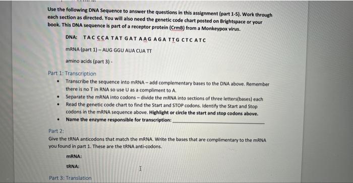 Solved Use the following DNA Sequence to answer the | Chegg.com