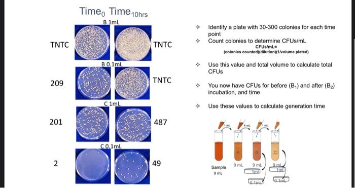 Solved Time, Time 10hrs B1ml TNTC TNTC B 0.1ml. Identify a | Chegg.com