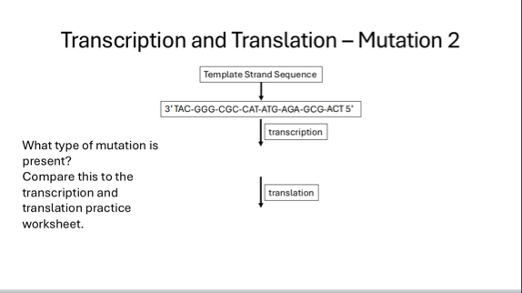 Solved Transcription and Translation - ﻿Mutation | Chegg.com