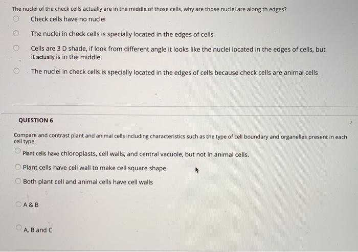 Solved The nuclei of the check cells actually are in the | Chegg.com