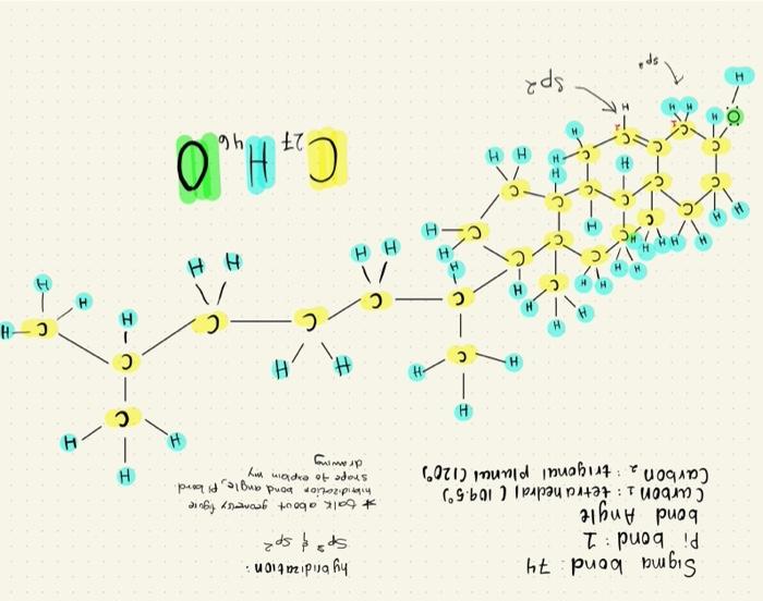 Solved please draw the fully expanded molecule for TNT, | Chegg.com