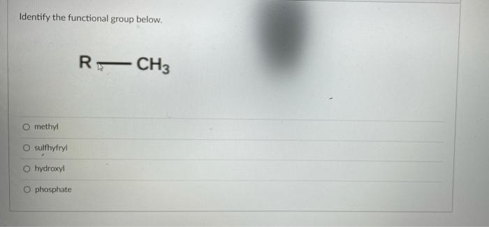 Solved Identify the functional group below. RCH3 O methyl O | Chegg.com
