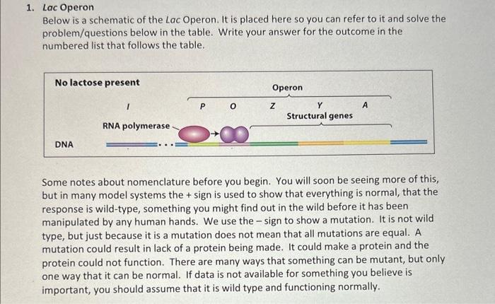 Schematic Diagram Of Lac Operon In The Diagram Below Of The