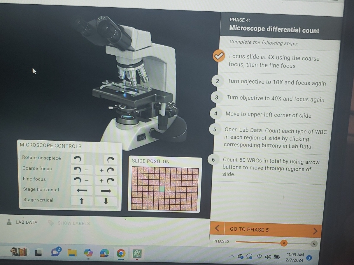 Solved MICROSCOPE CONTROLSRotate nosepieceCoarse focusFine | Chegg.com