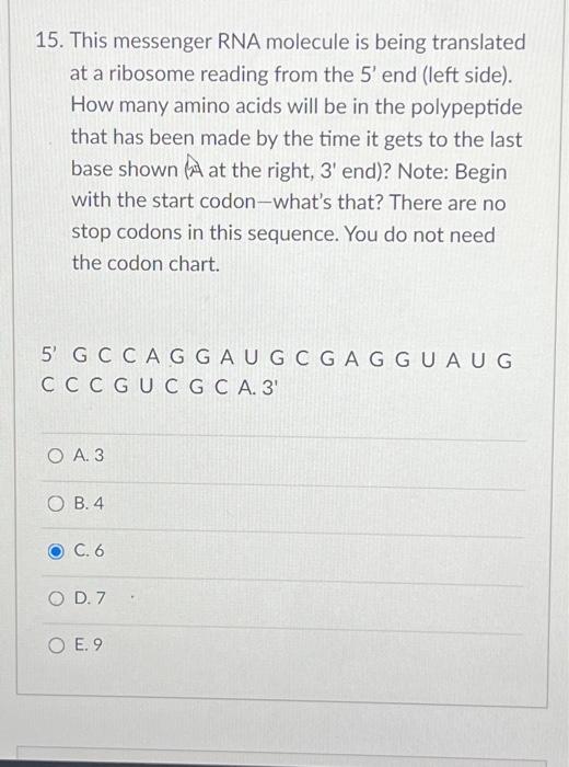 Solved 15. This messenger RNA molecule is being translated | Chegg.com