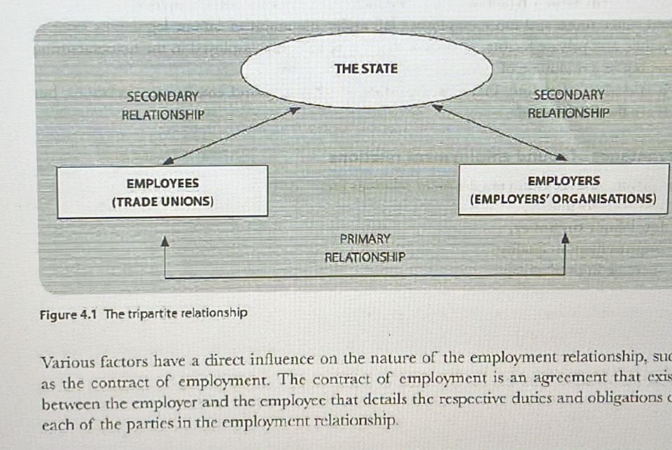 Solved Figure 4.1 ﻿The tripartite relationshipVarious | Chegg.com
