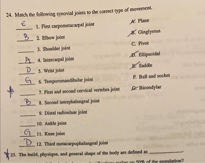 Solved A. Plane 24. Match the following synovial joints to | Chegg.com