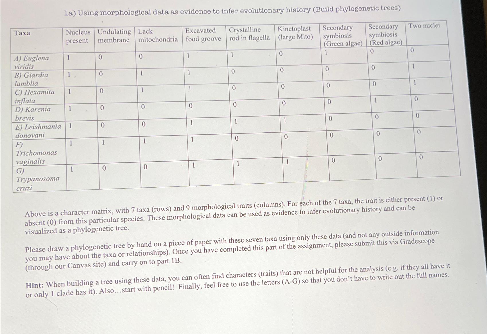 Solved 1a) ﻿Using morphological data as evidence to infer | Chegg.com