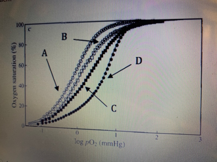 Solved which of the curves represents the O2 binding curve | Chegg.com