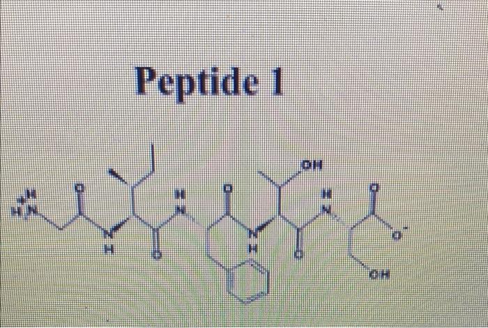 Solved Instructions: Type the one-letter code for each of | Chegg.com