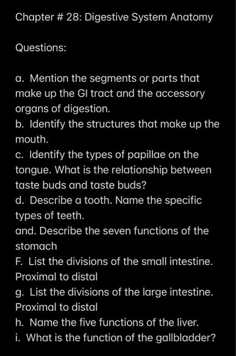 Solved Chapter #28: Digestive System Anatomy Questions: a. | Chegg.com