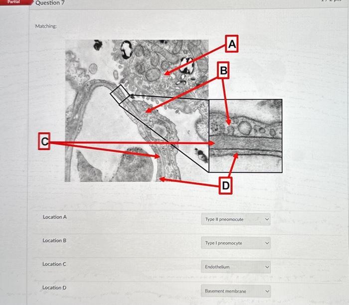 Solved Location A Location B Location C Location D | Chegg.com