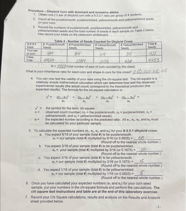 Solved Procedure - Dihybrid Corn with dominant and recessive | Chegg.com