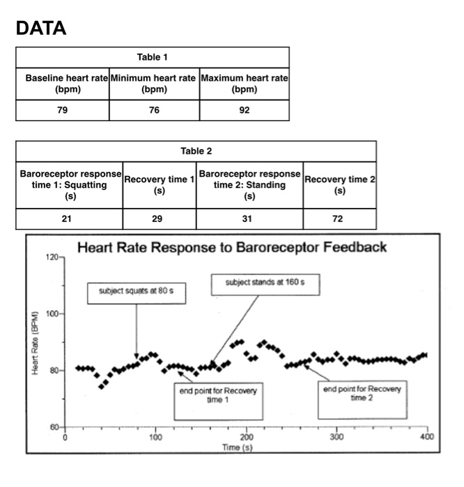Solved Computer 5 Heart Rate Recure? segure 3 Baroreceptor | Chegg.com