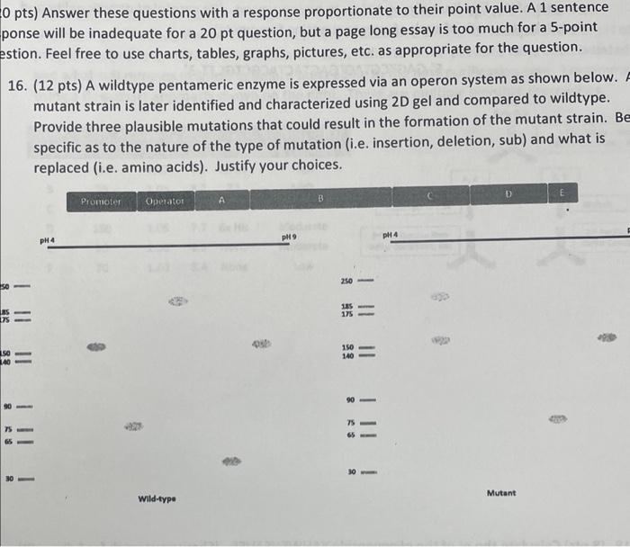 Solved pts) Answer these questions with a response | Chegg.com