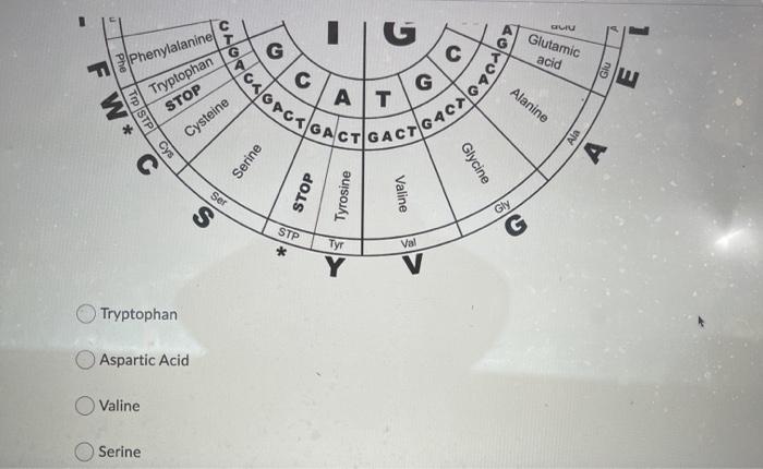 Solved Use the following chart to convert the DNA codon, GAT | Chegg.com