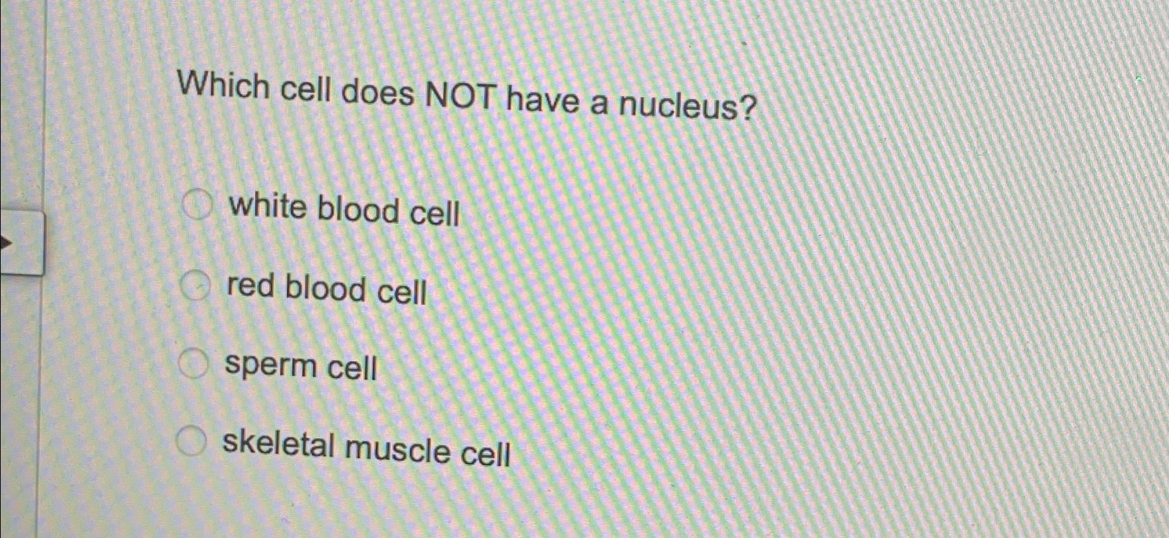 Solved Which cell does NOT have a nucleus?white blood | Chegg.com