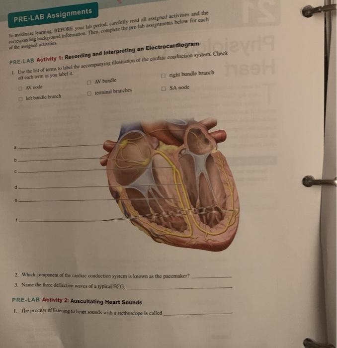 Solved PRE-LAB Assignments To maximize learning. BEFORE your | Chegg.com